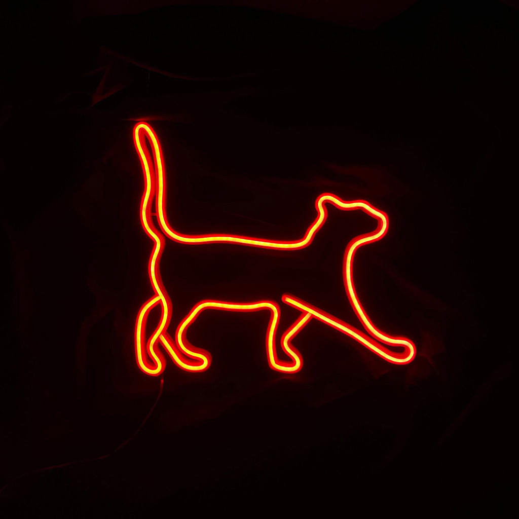 Kot Neon LED
