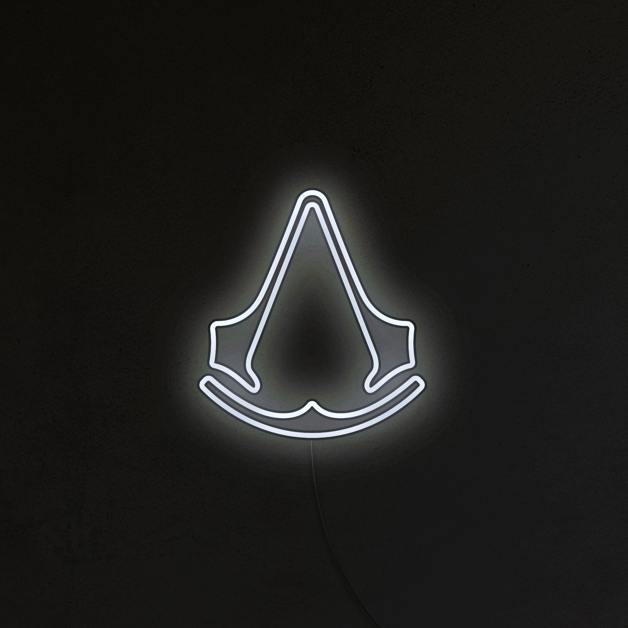 Assassin's Neon LED